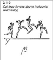 Cat leap (Balance Beam) | Balance Beam Situation